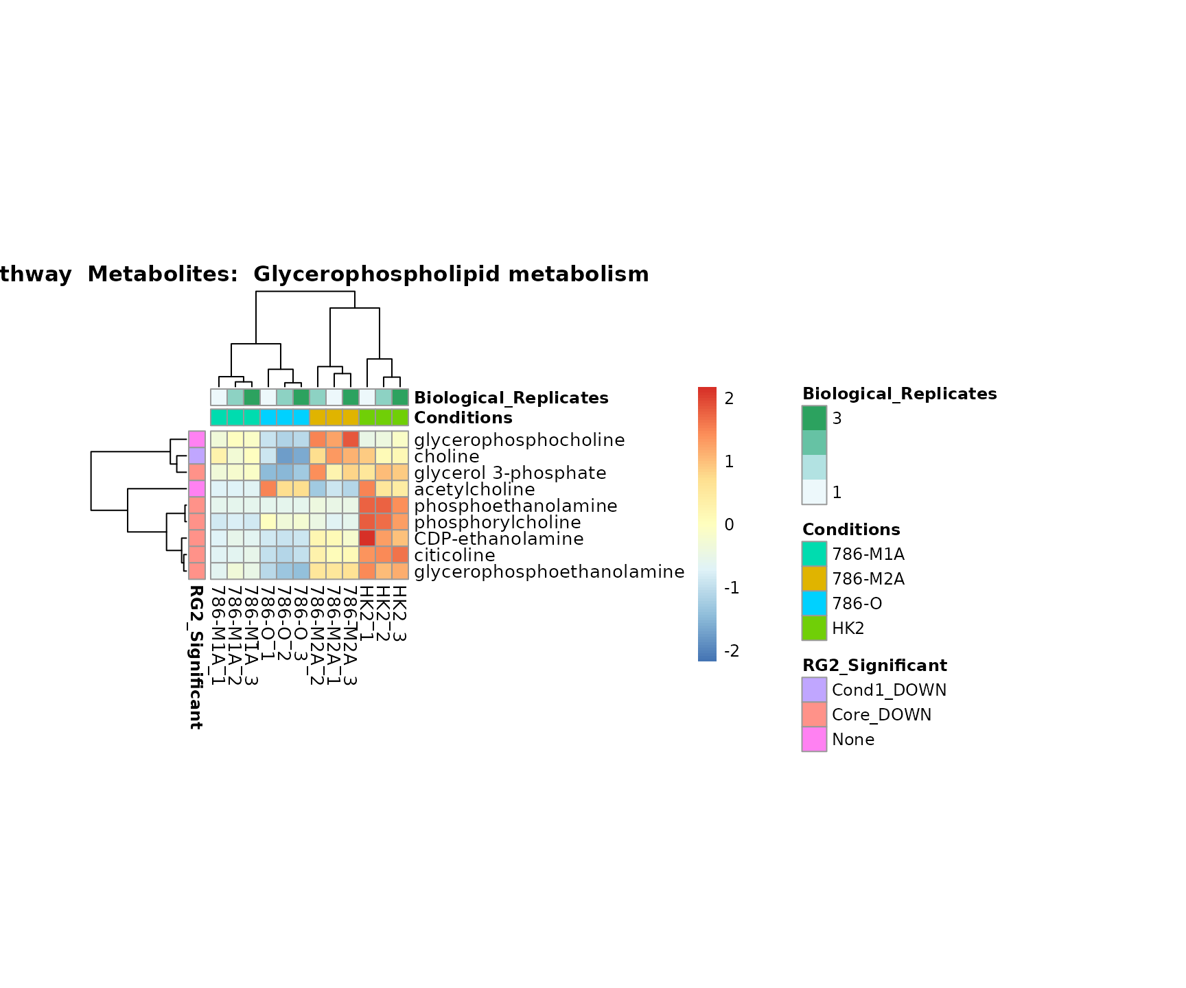 Standard Metabolomics • MetaProViz